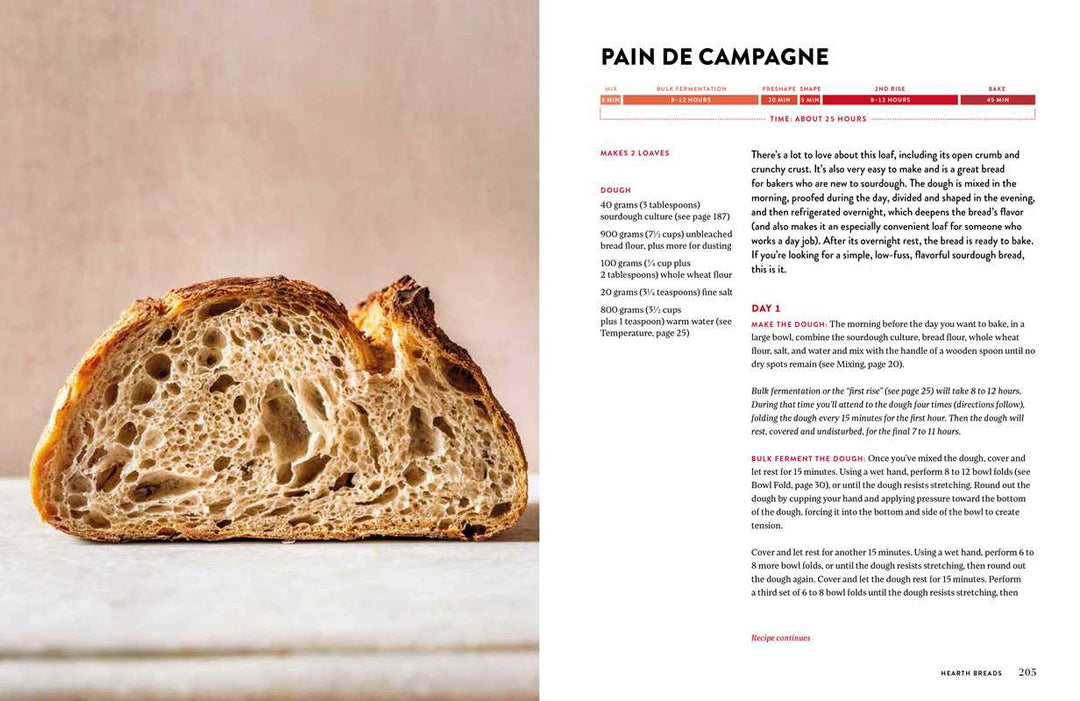 Big Book of Bread (Cookbook) – The Culinary Stone